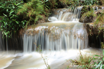 Hutan Wanagama Yogyakarta | Jogja | Yogyakarta | Jogjaland.net